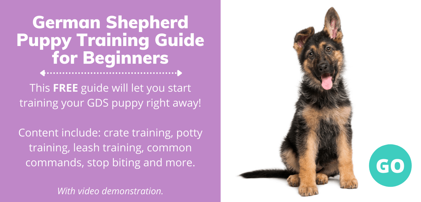10 Books Every German Shepherd Owner Must Read · German Shepherd 101