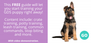 German Shepherd 101 – The Ultimate Resource Guide for First-Time GSD Owners